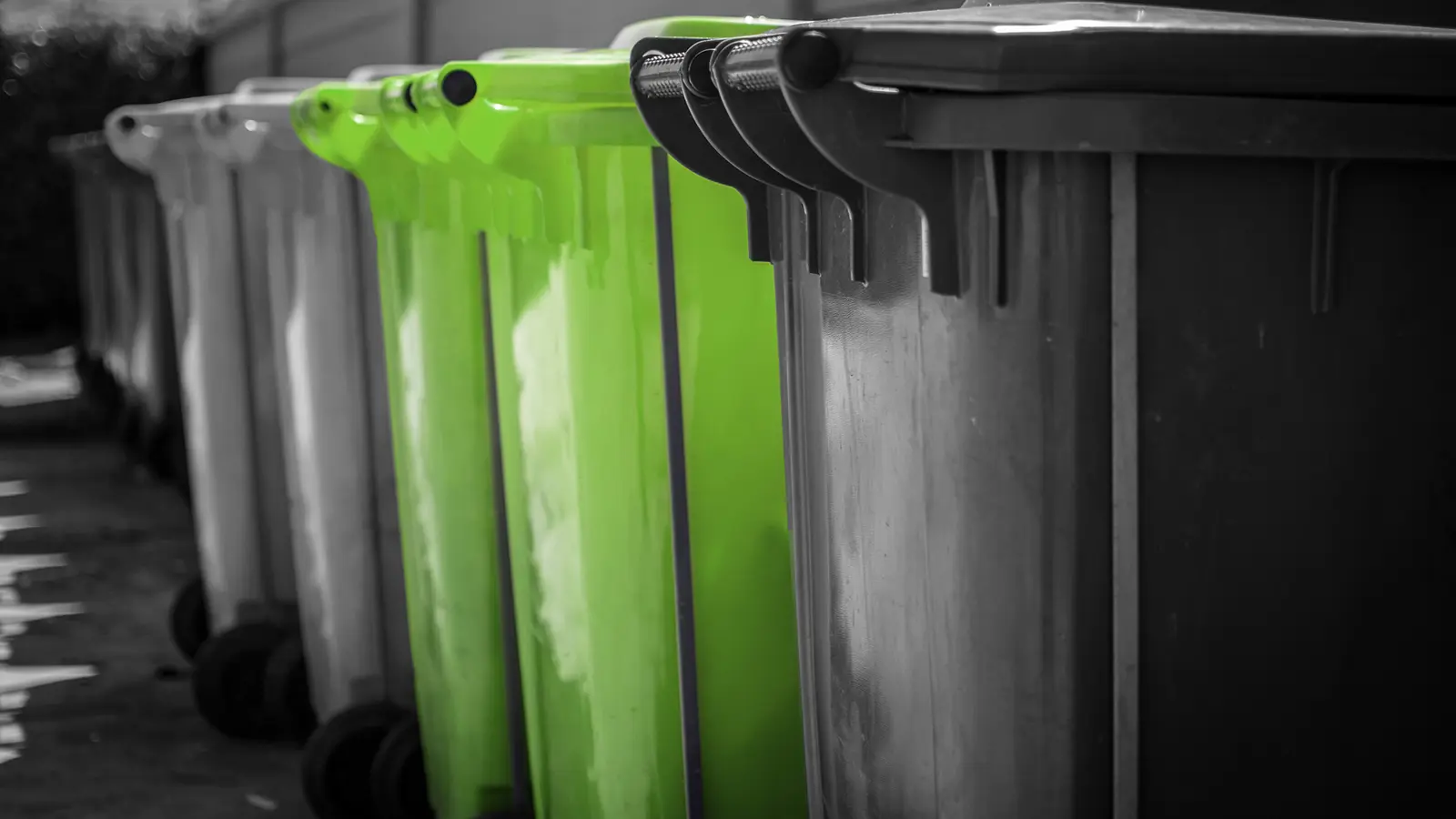 Facilities Services | The Floorbrite Group